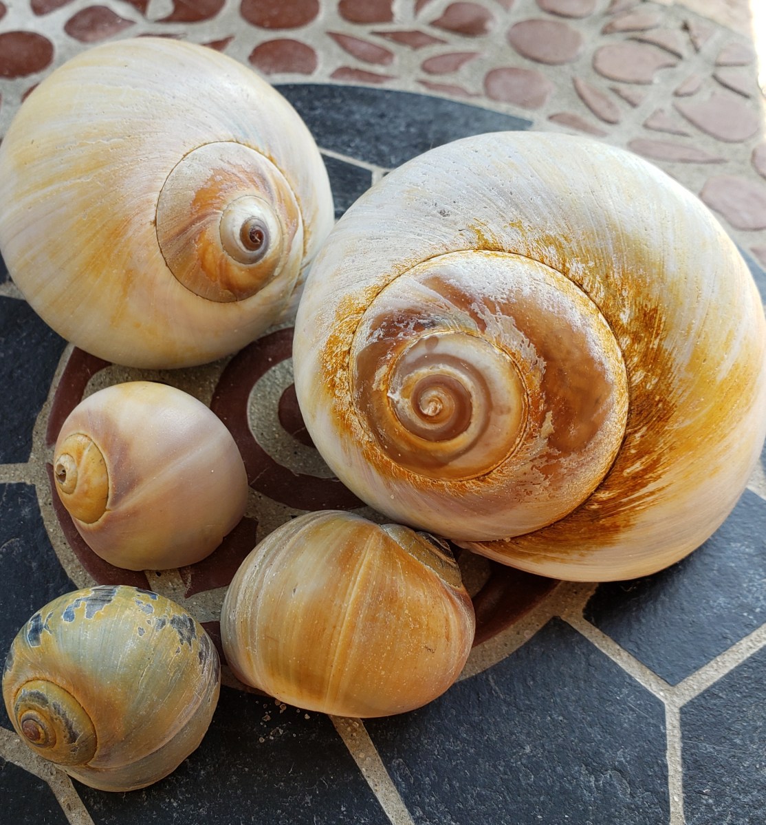 Marching Forward – Stories Served Served Around The Table